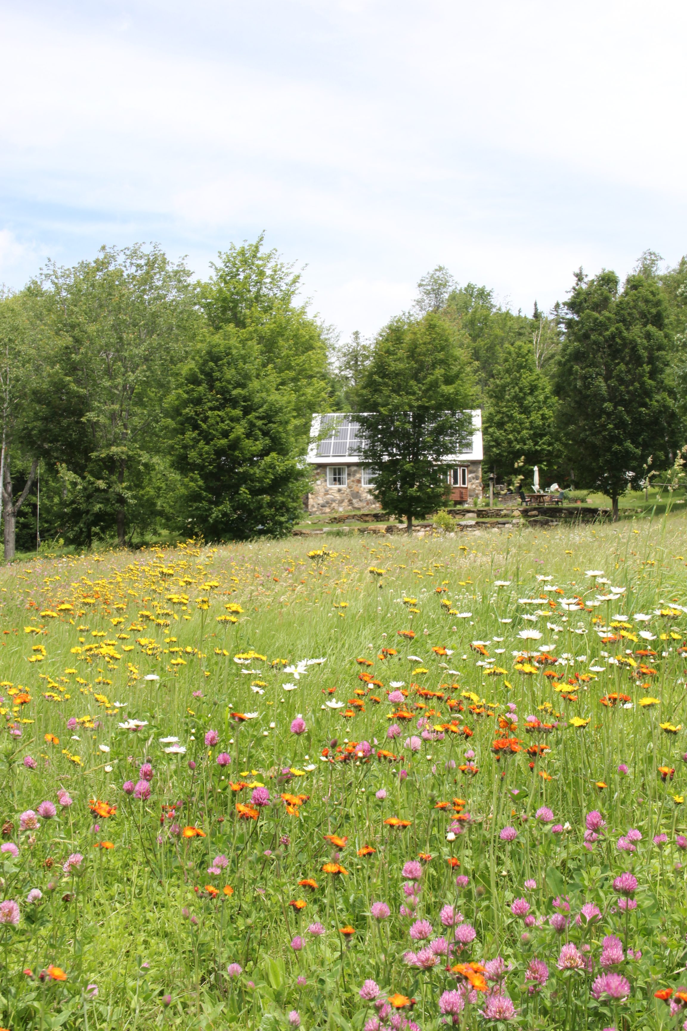 Happy Tenth Anniversary – Janet Givens